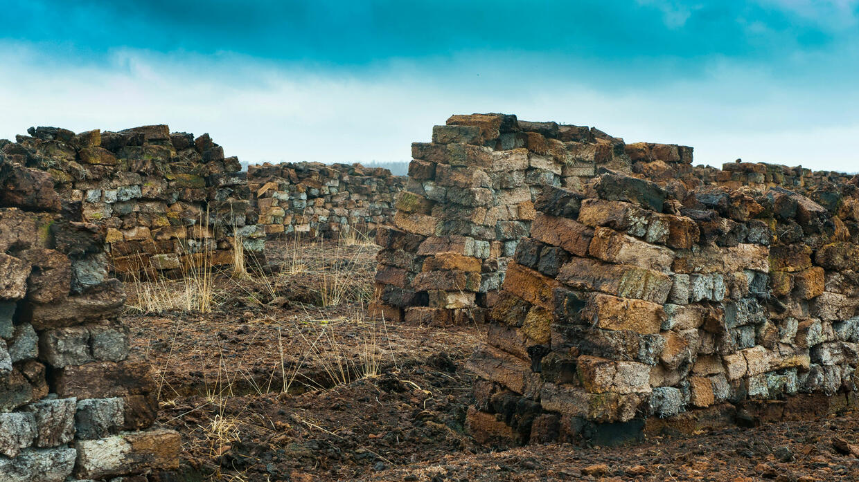 Torf: Branche fürchtet Ende des Abbaus