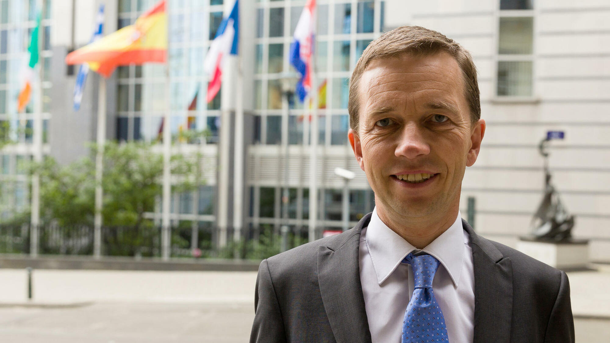 Wahlerfolge 2014: Der phänomenale Aufstieg der AfD