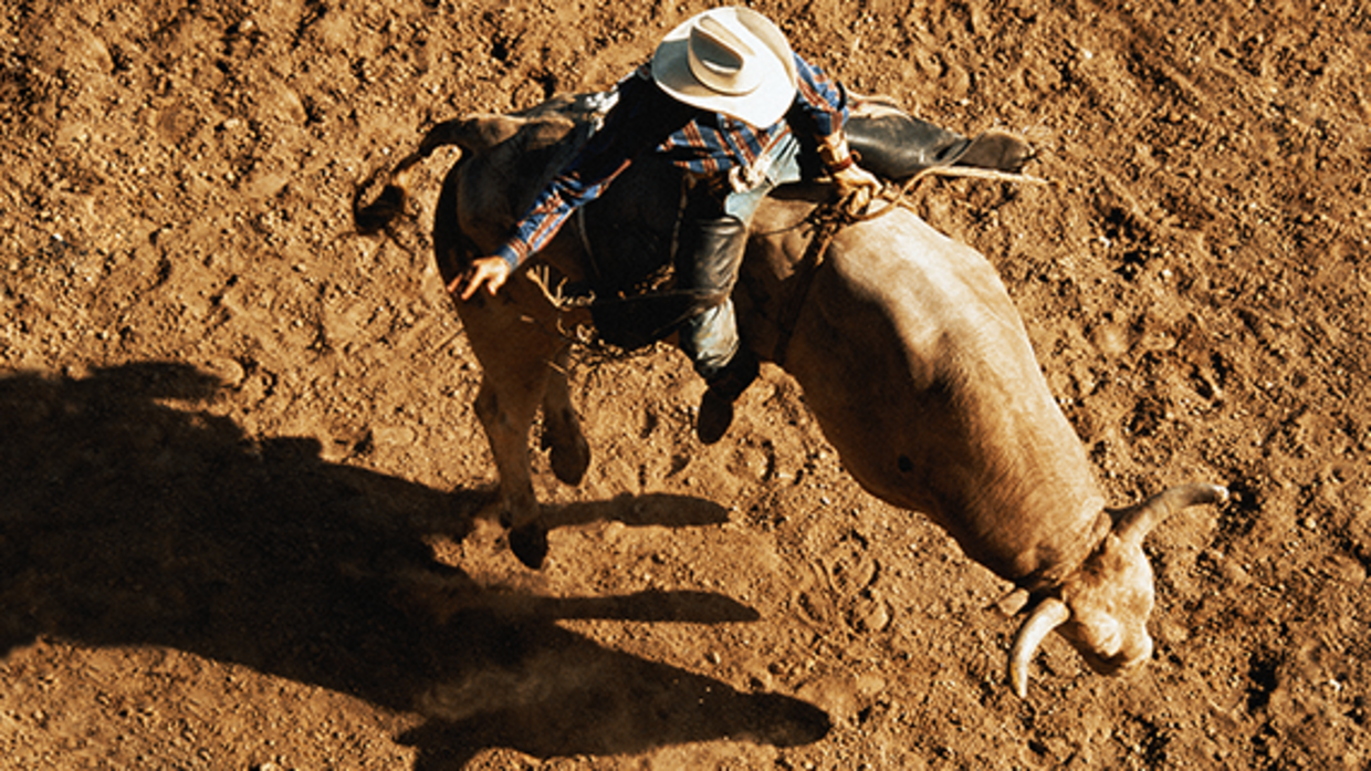 BCG-Ranking: Was die besten Aktien der Welt treibt